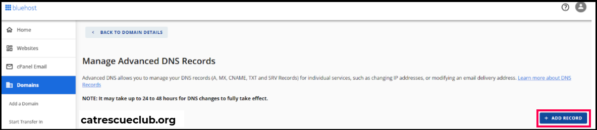 Setting Up Your DNS Records with BlueHost